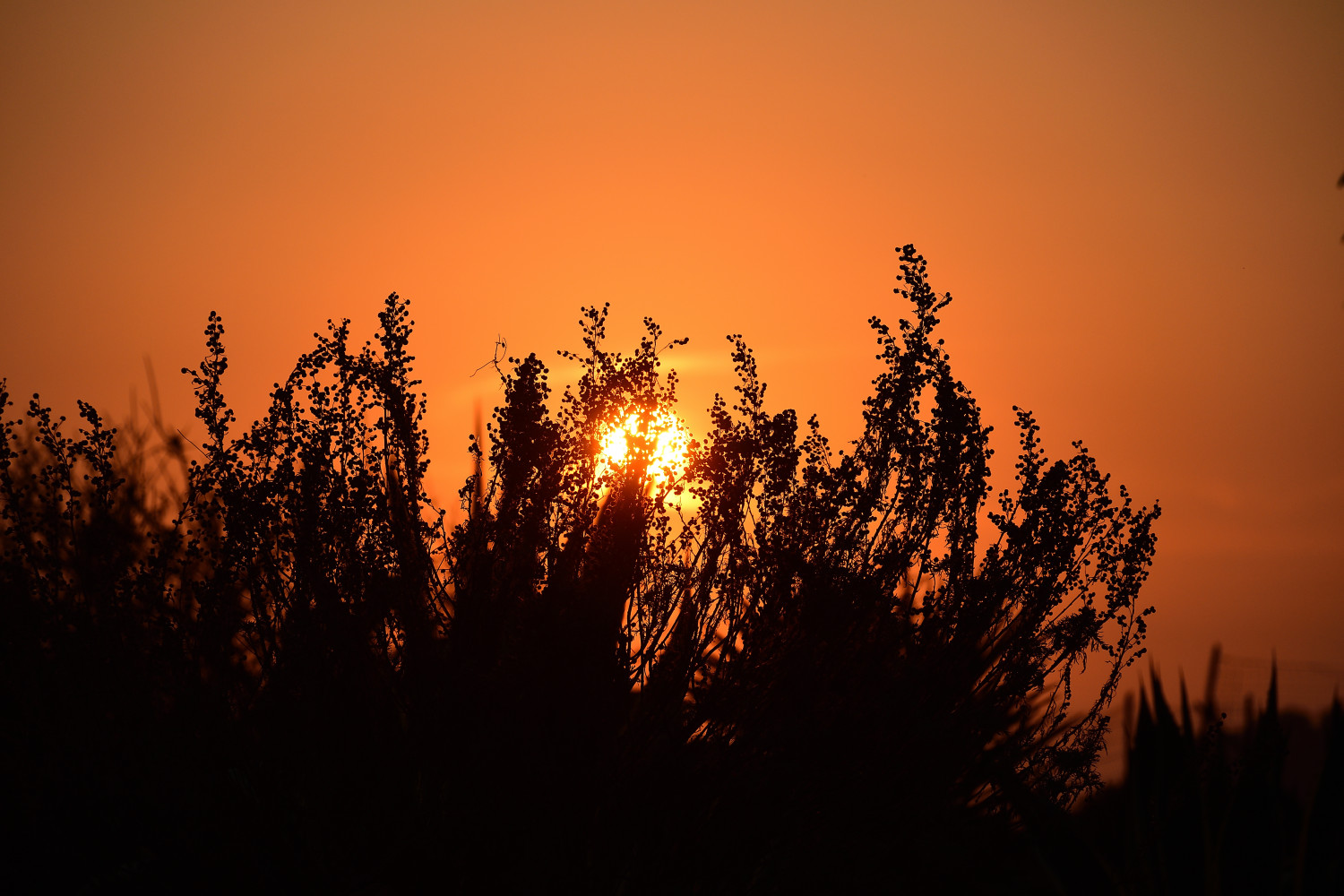 Tramonto settembrino a Realmonte maxbottax 2836585 Tramonto settembrino a Realmonte maxbottax 2836585